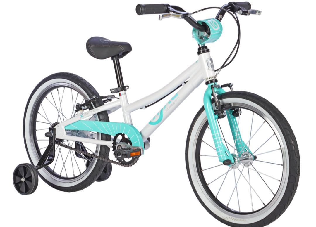 BYK E350 Celeste Green – Jonny Sprockets Bike Shop